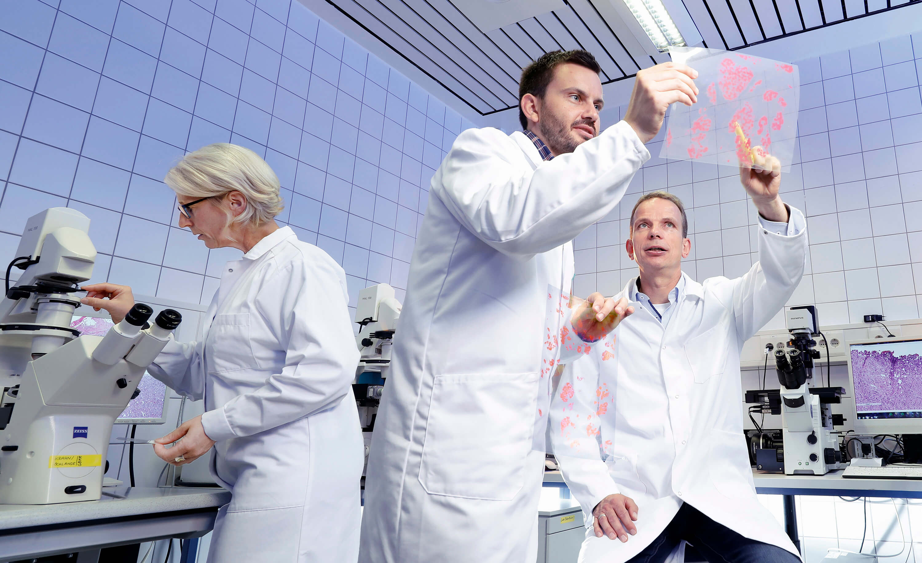 INSIDERALARM bei Evotec! Valneva mit neuem KURSZIEL! Vidac Pharma Aktie ...