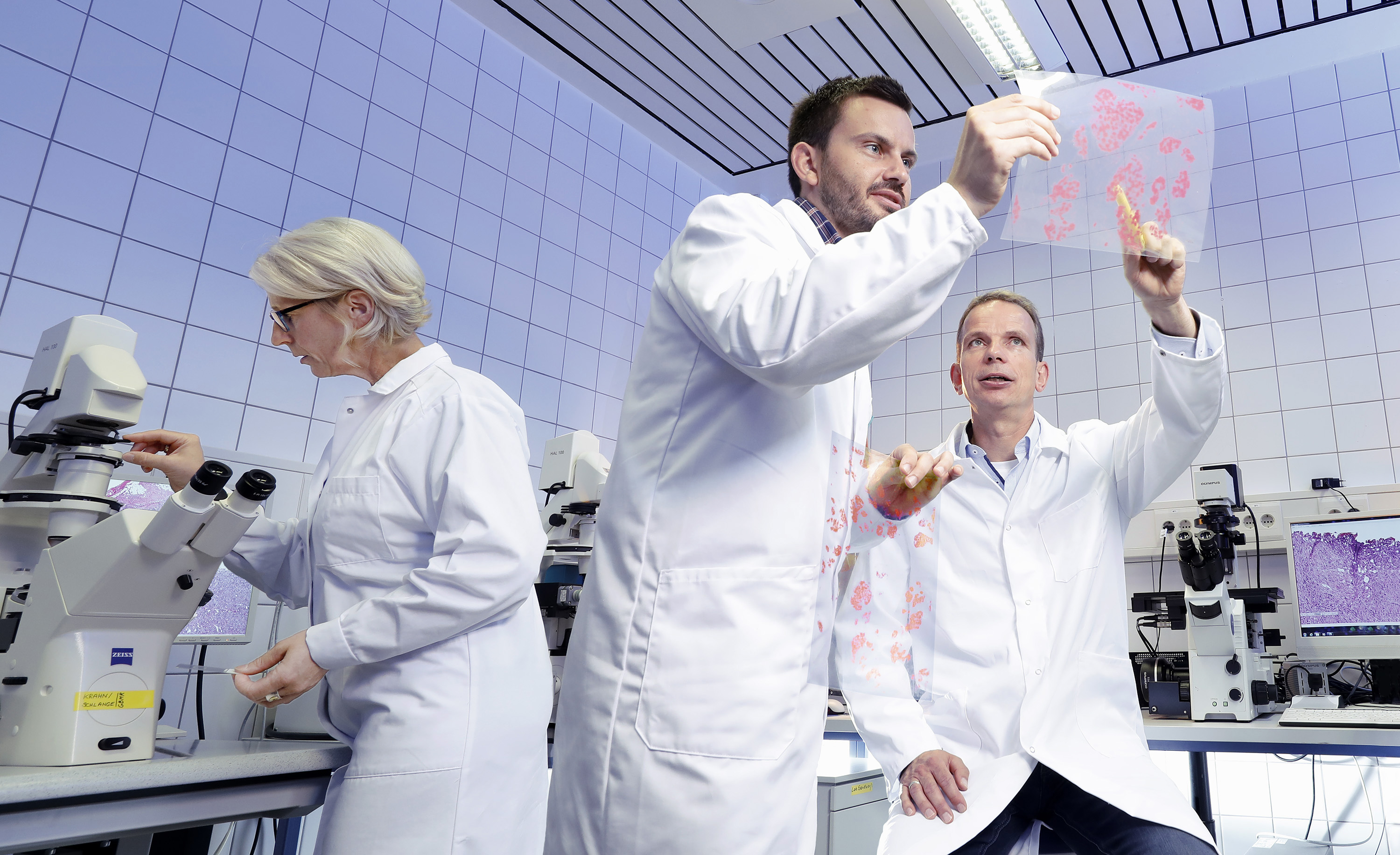 PAUKENSCHLAG! ÜBERNAHMEFANTASIE? BioNTech, Evotec, Vidac Pharma